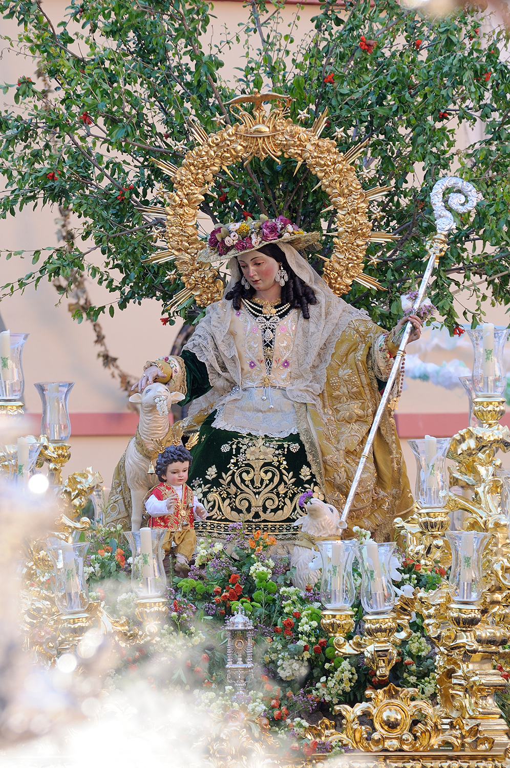 Logo del camino hacia la Coronación: el granado de la Divina Pastora ...